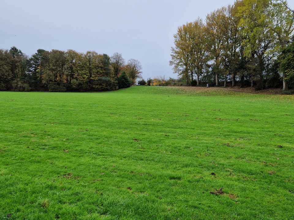 Football pitch could become cemetery as Falkirk Council area runs out ...